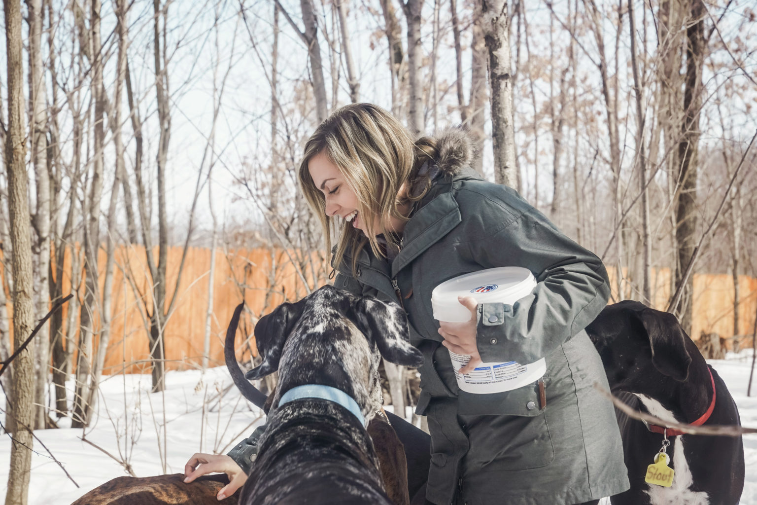 - Great Dane Rescue of MN/WI