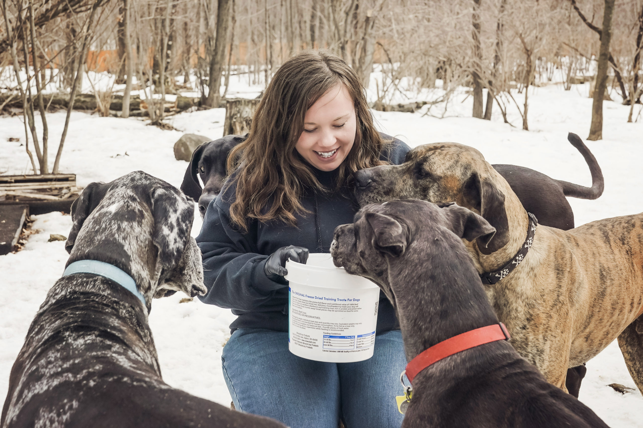 Sanctuary - Great Dane Rescue of MN/WI