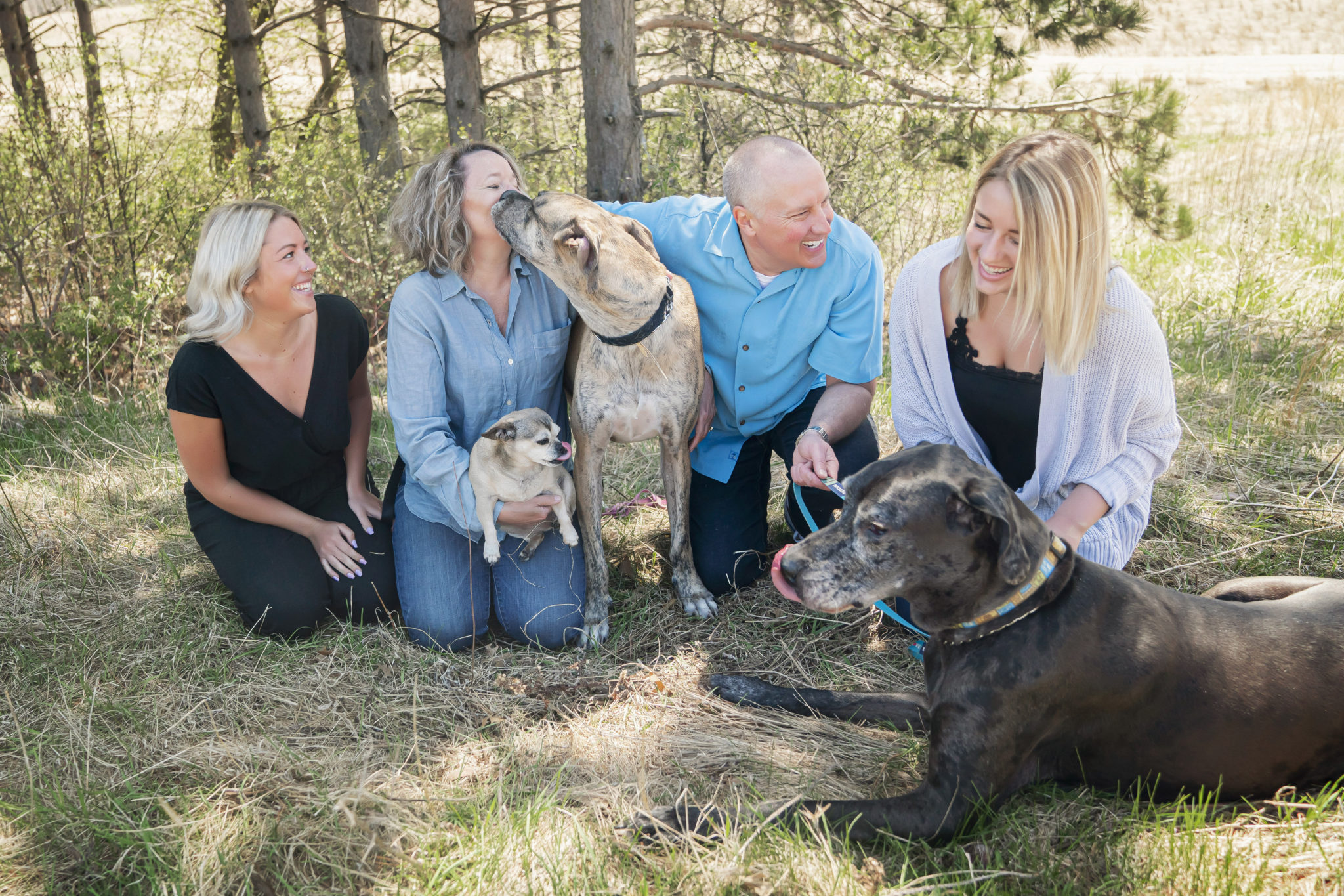 About Us - Great Dane Rescue of MN/WI