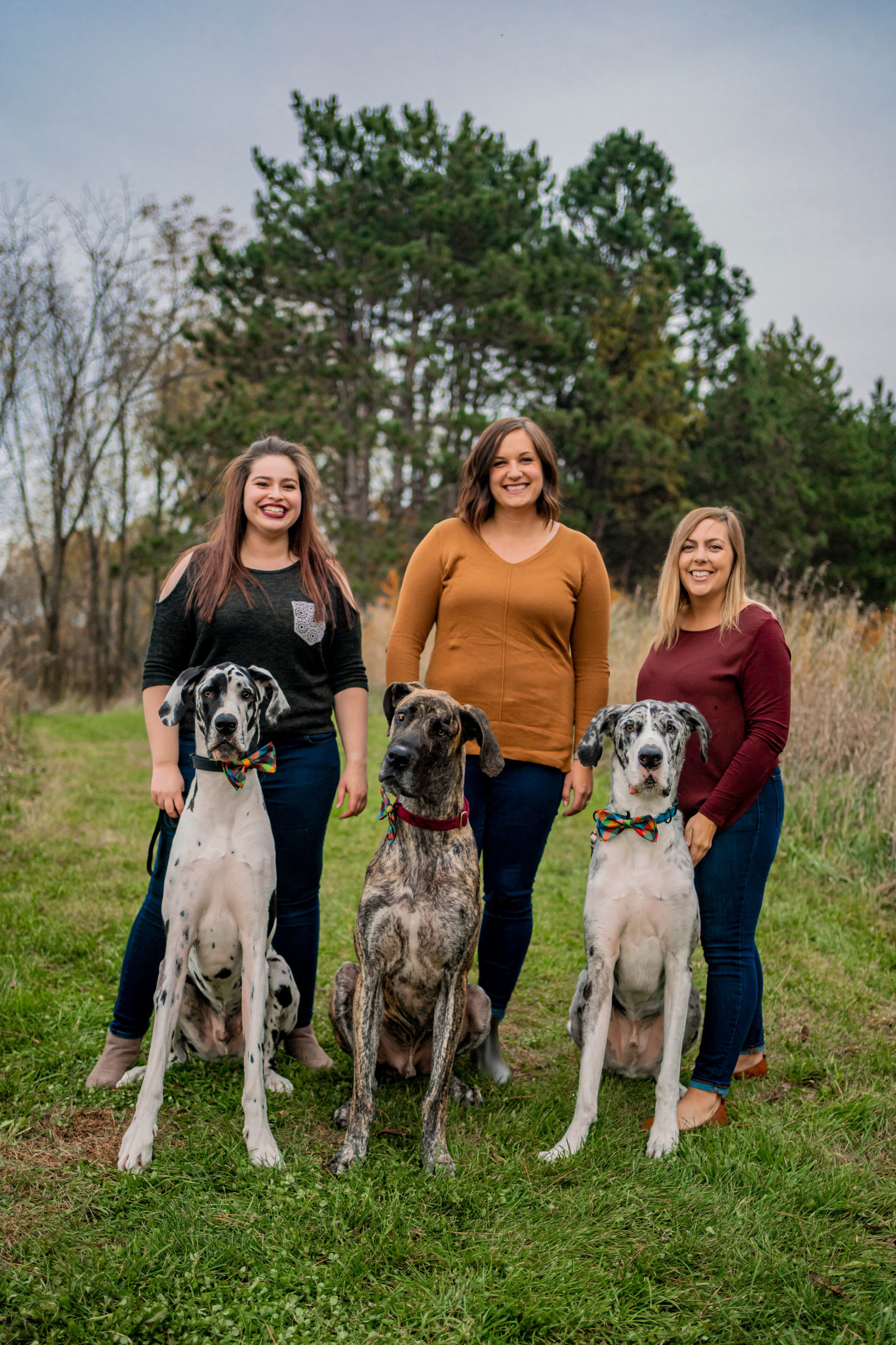About Us - Great Dane Rescue of MN/WI